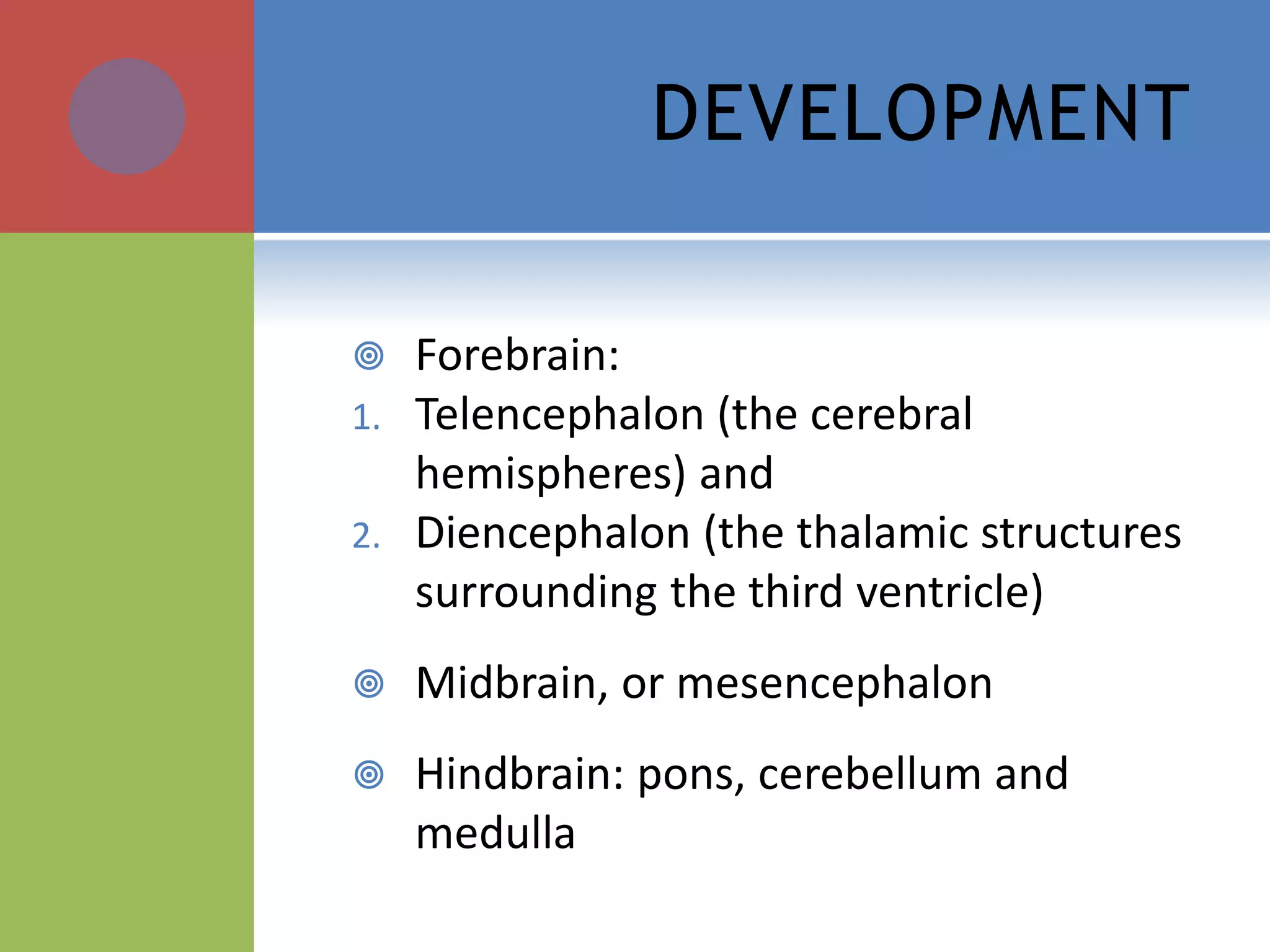 CRANIAL NERVES- ANATOMY | PPT