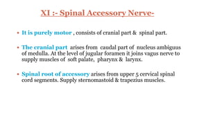 Cranial Nerve Clinical Examination IX TO XII | PPTX