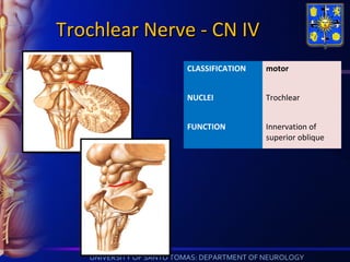 Cranial nerves | PPT