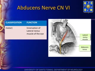 Cranial nerves | PPT