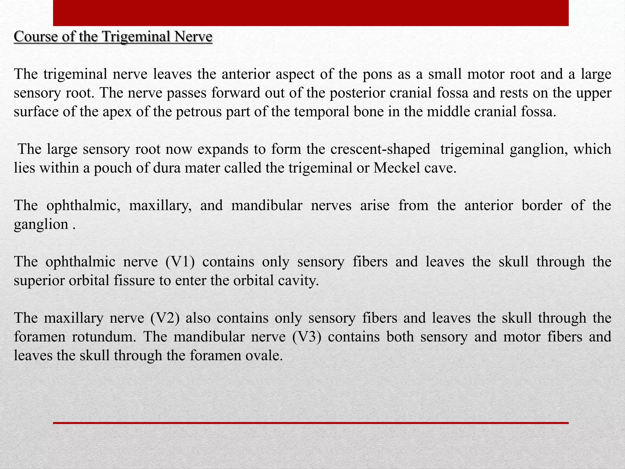 Cranial nerve | PPTX