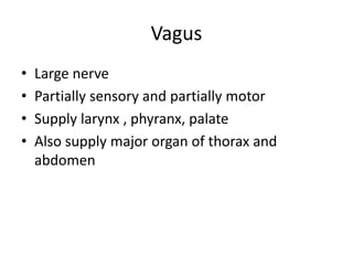 Cranial nerves (peripheral nerve system) | PPT