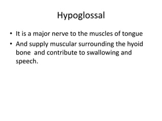 Cranial nerves (peripheral nerve system) | PPT