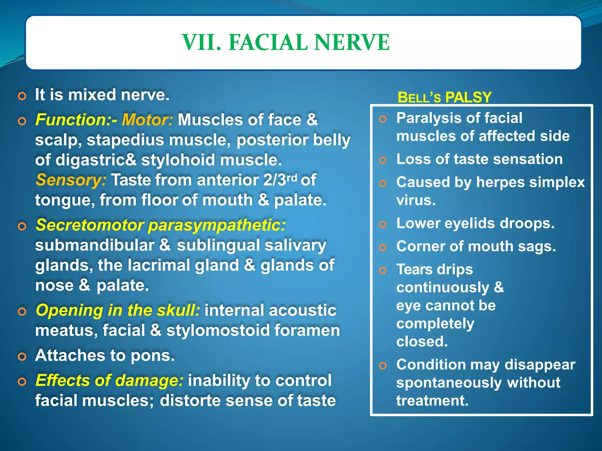 Cranial Nerve | PPTX | Ear, Nose and Throat Conditions | Diseases and ...