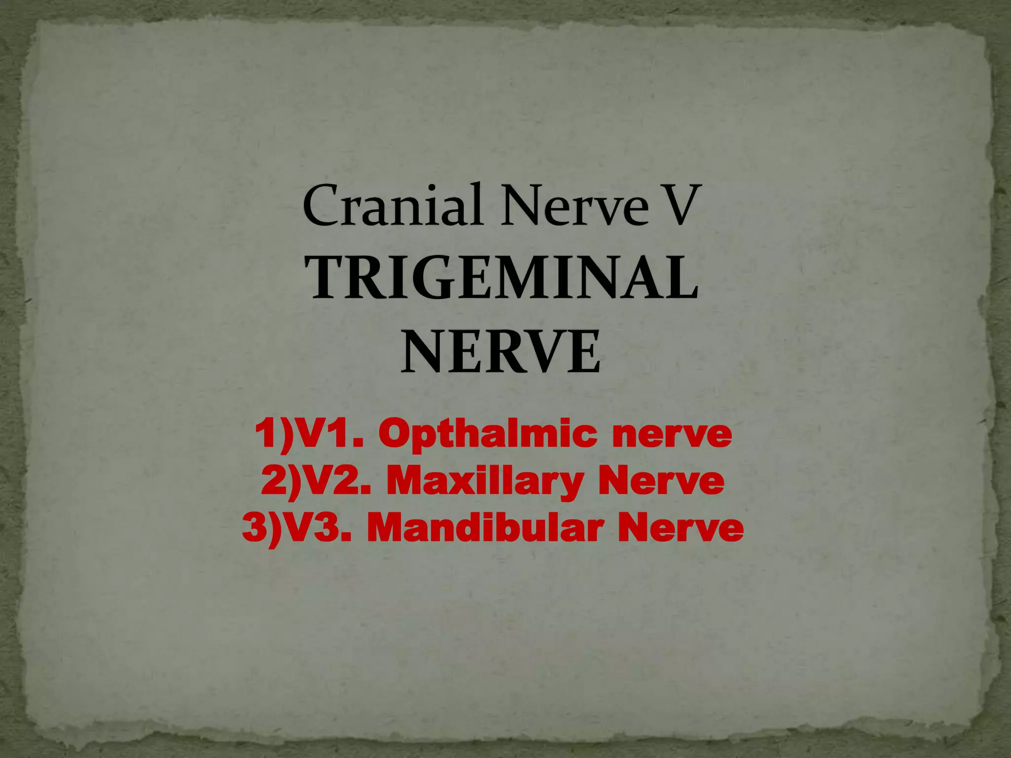 Cranial nerve, Nervous system, Anatomy and Physiology | PPTX