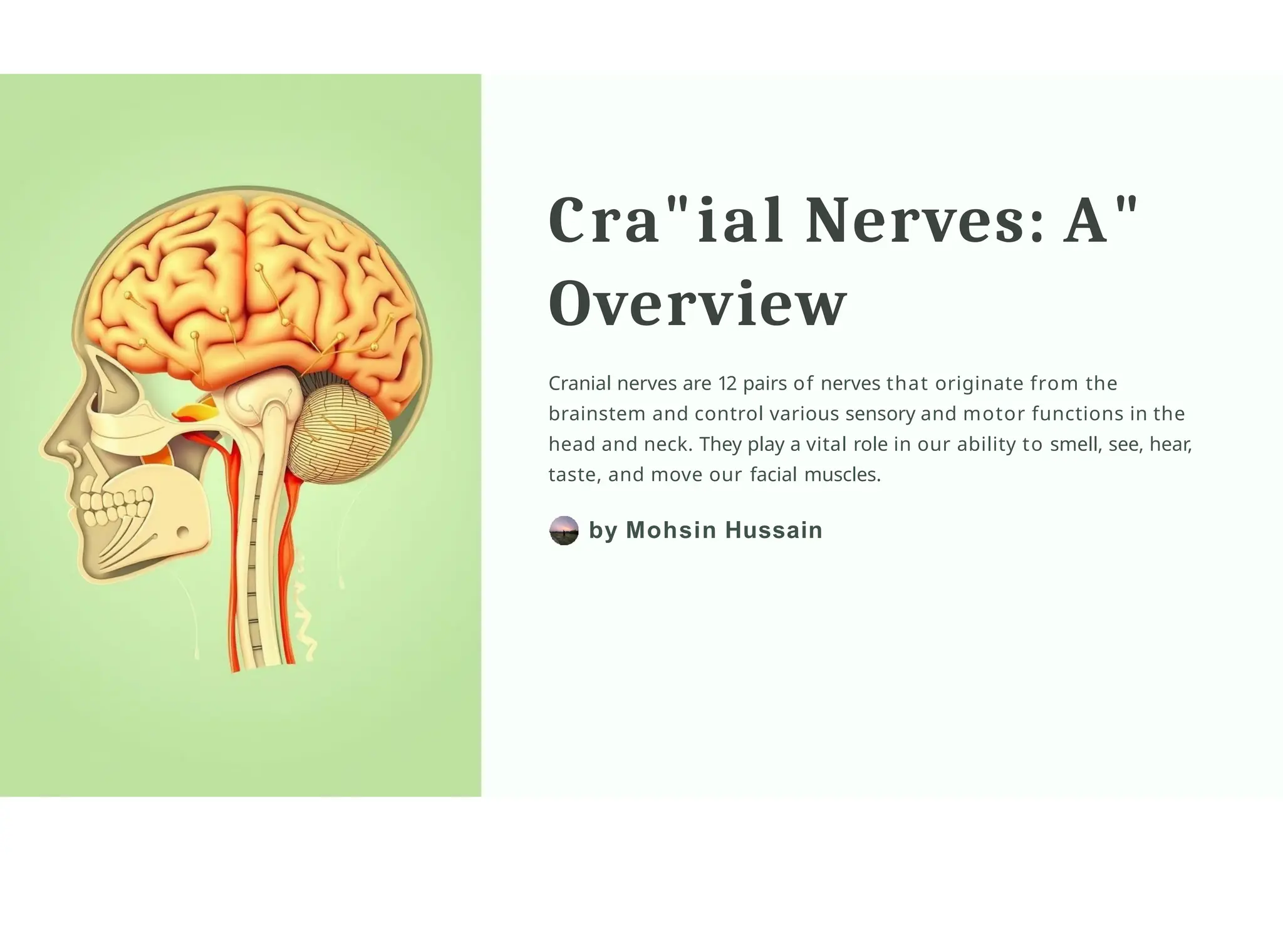 cranial nerve full description with examples.pptx