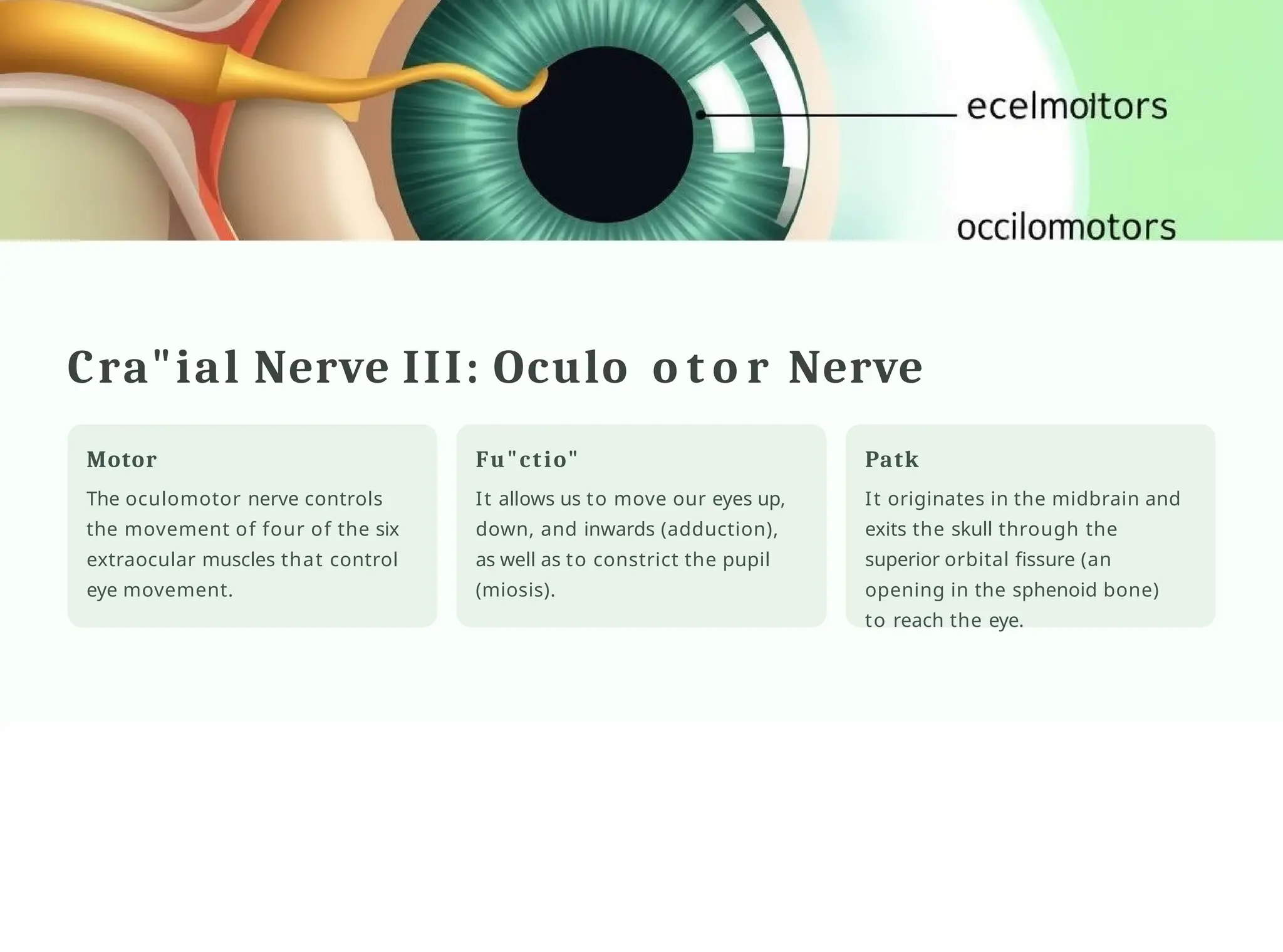 cranial nerve full description with examples.pptx