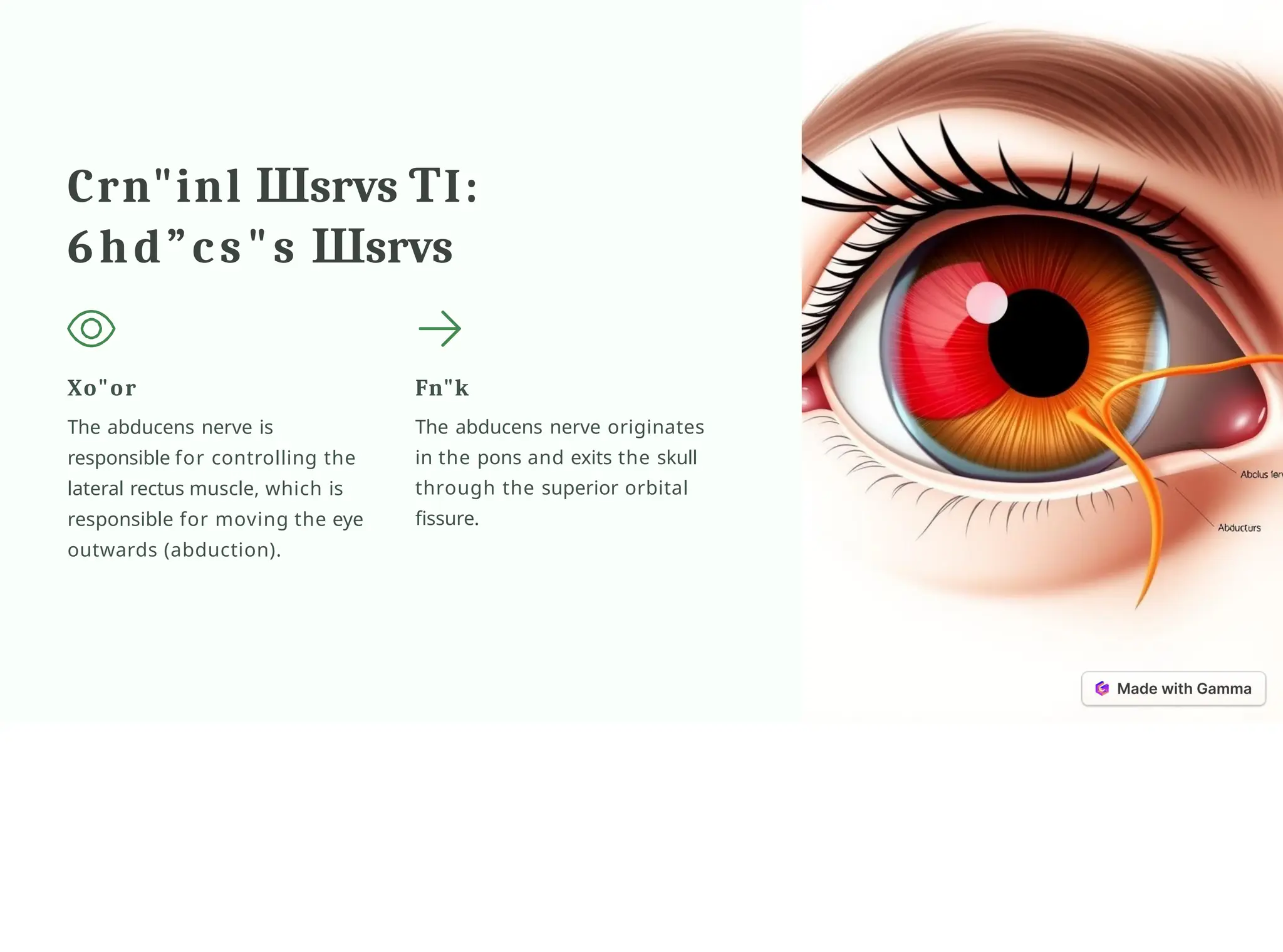 cranial nerve full description with examples.pptx