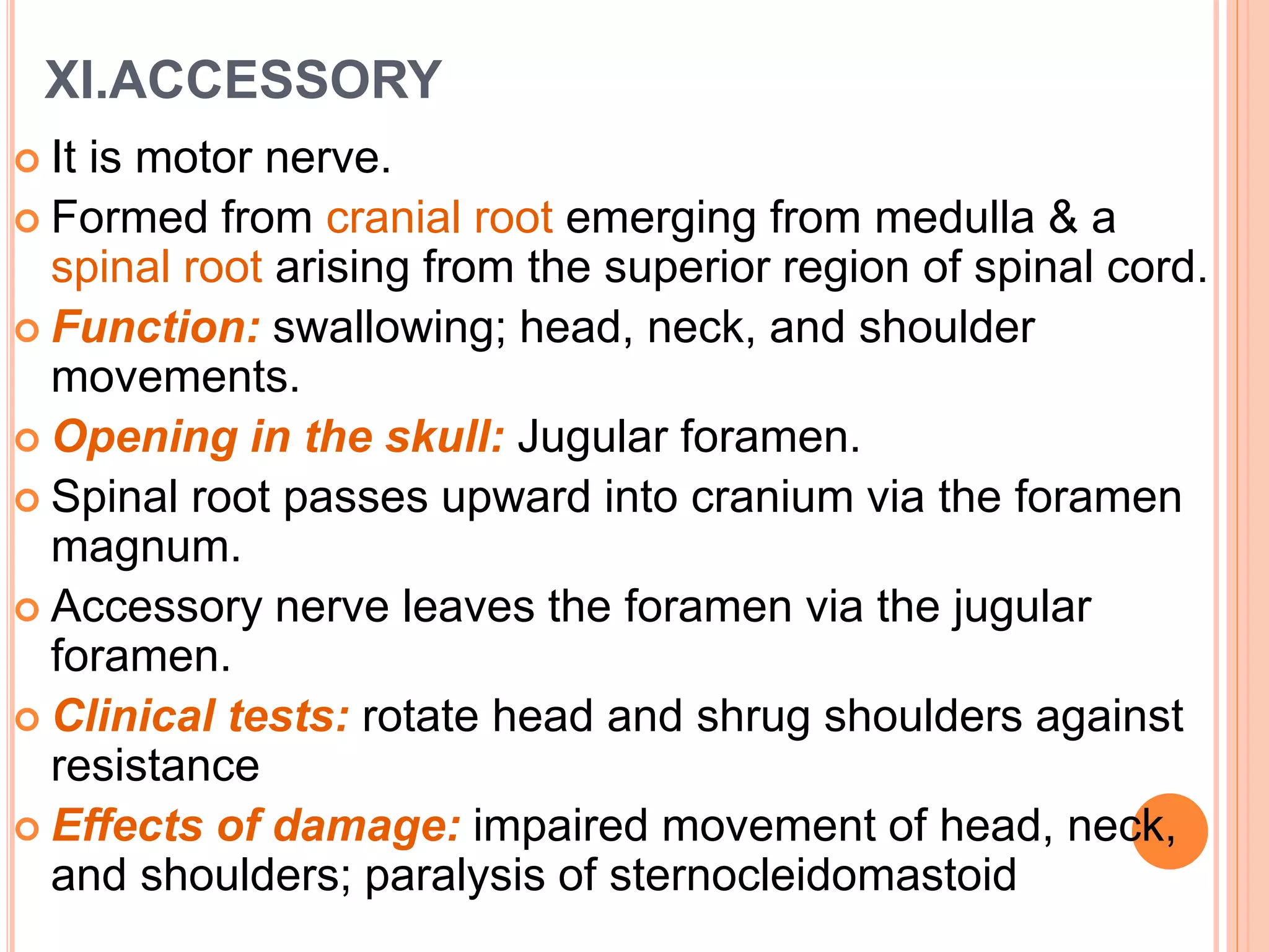 cranial nerve1pdf.pdf