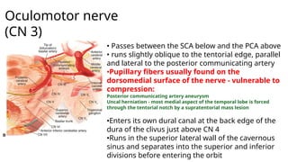 How to deal with 3,4 and 6 cranial nerve palsy | PPTX
