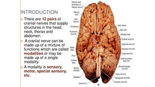 Pair_of _Cranial_nerve_ (from_ CN5_ TO_ CN8) | PPT