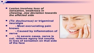 Pair_of _Cranial_nerve_ (from_ CN5_ TO_ CN8) | PPT