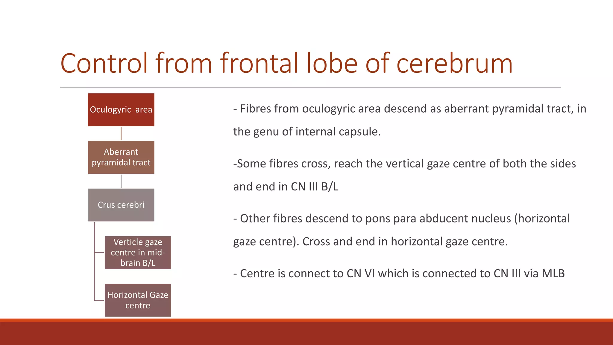 SIXTH CRANIAL NERVE PALSY- Diagnosis and management | PPTX