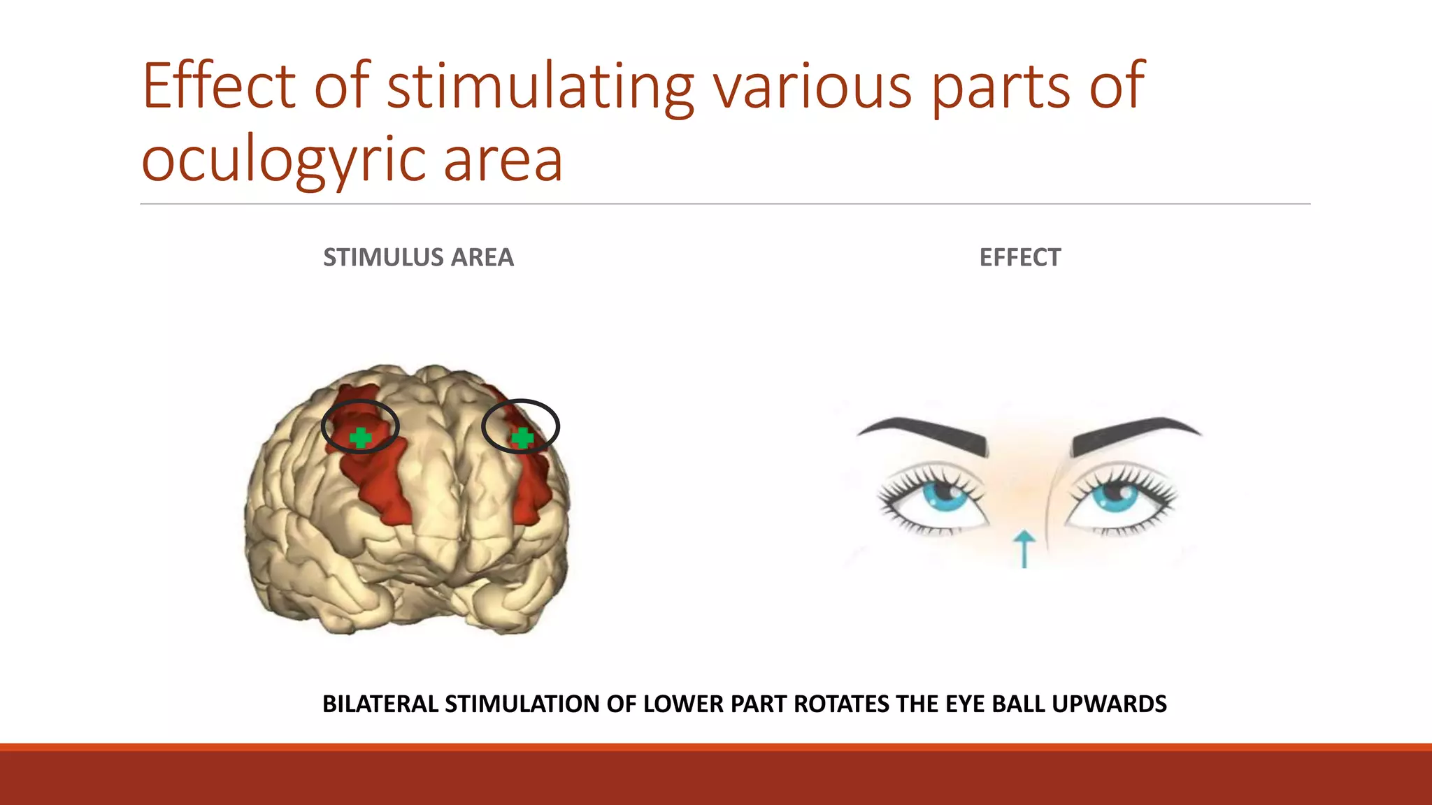 SIXTH CRANIAL NERVE PALSY- Diagnosis and management | PPTX