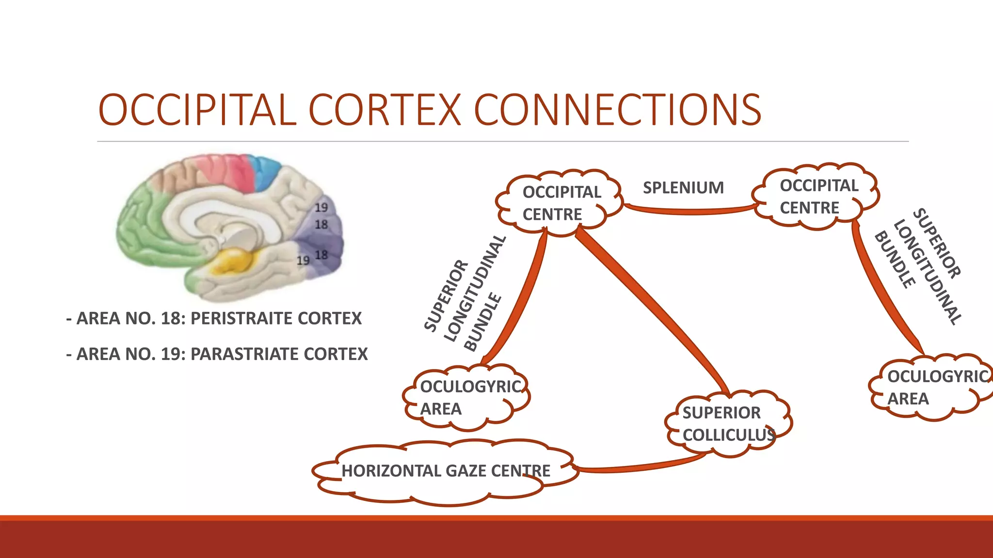SIXTH CRANIAL NERVE PALSY- Diagnosis and management | PPTX