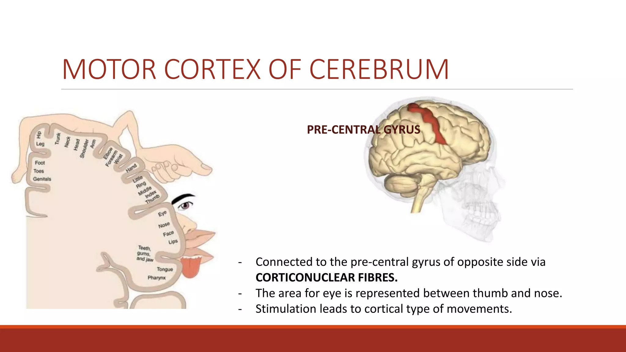 SIXTH CRANIAL NERVE PALSY- Diagnosis and management | PPTX
