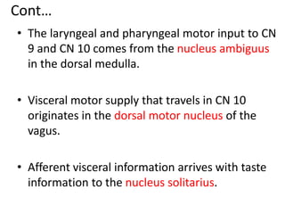 CRANIAL NERVE 9 (GLOSSOPHARYNGEAL) & CRANIAL.pptx