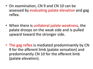 CRANIAL NERVE 9 (GLOSSOPHARYNGEAL) & CRANIAL.pptx