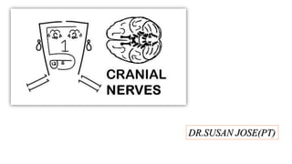 Cranial Nerve assesment-Physiotherapy perspective.pptx