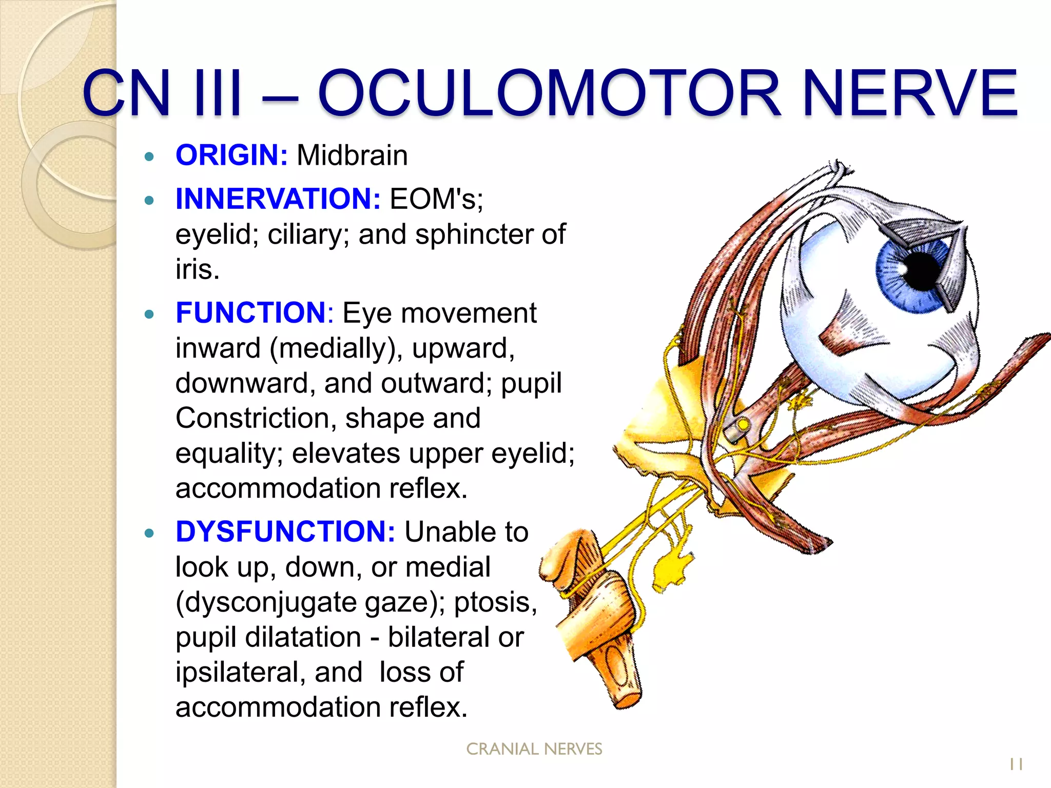 Cranial nerve assessment..Simple and Easy to perform for medics and ...