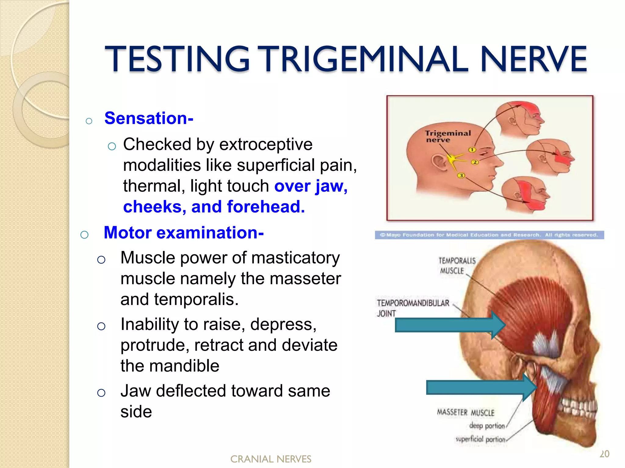 Cranial nerve assessment..Simple and Easy to perform for medics and ...