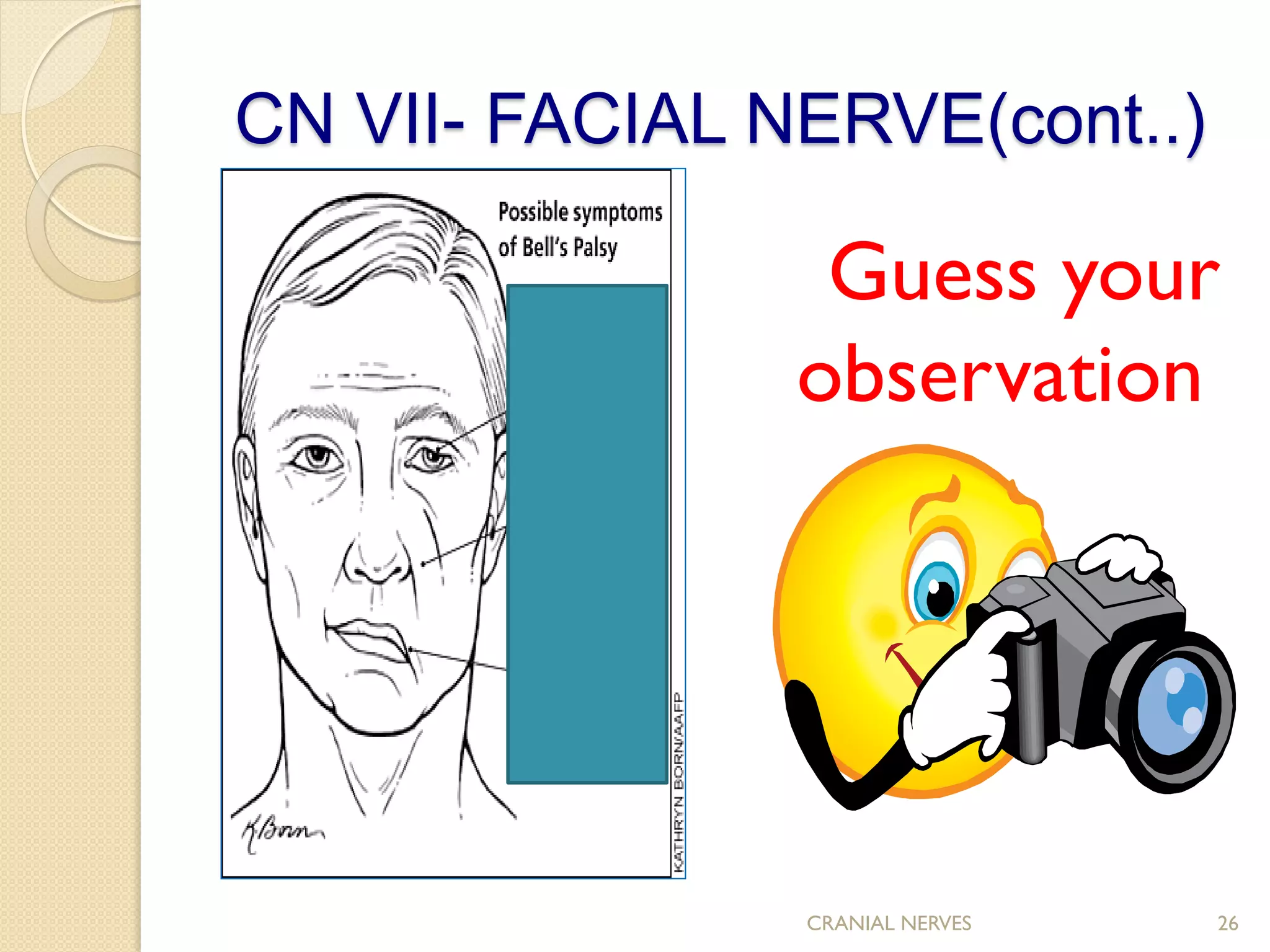 Cranial nerve assessment..Simple and Easy to perform for medics and ...
