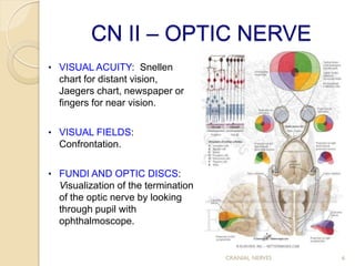 Cranial nerve assessment..Simple and Easy to perform for medics and ...