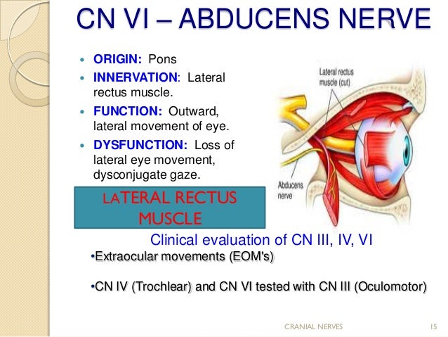 Cranial nerve assessment..Simple and Easy to perform for medics and P…