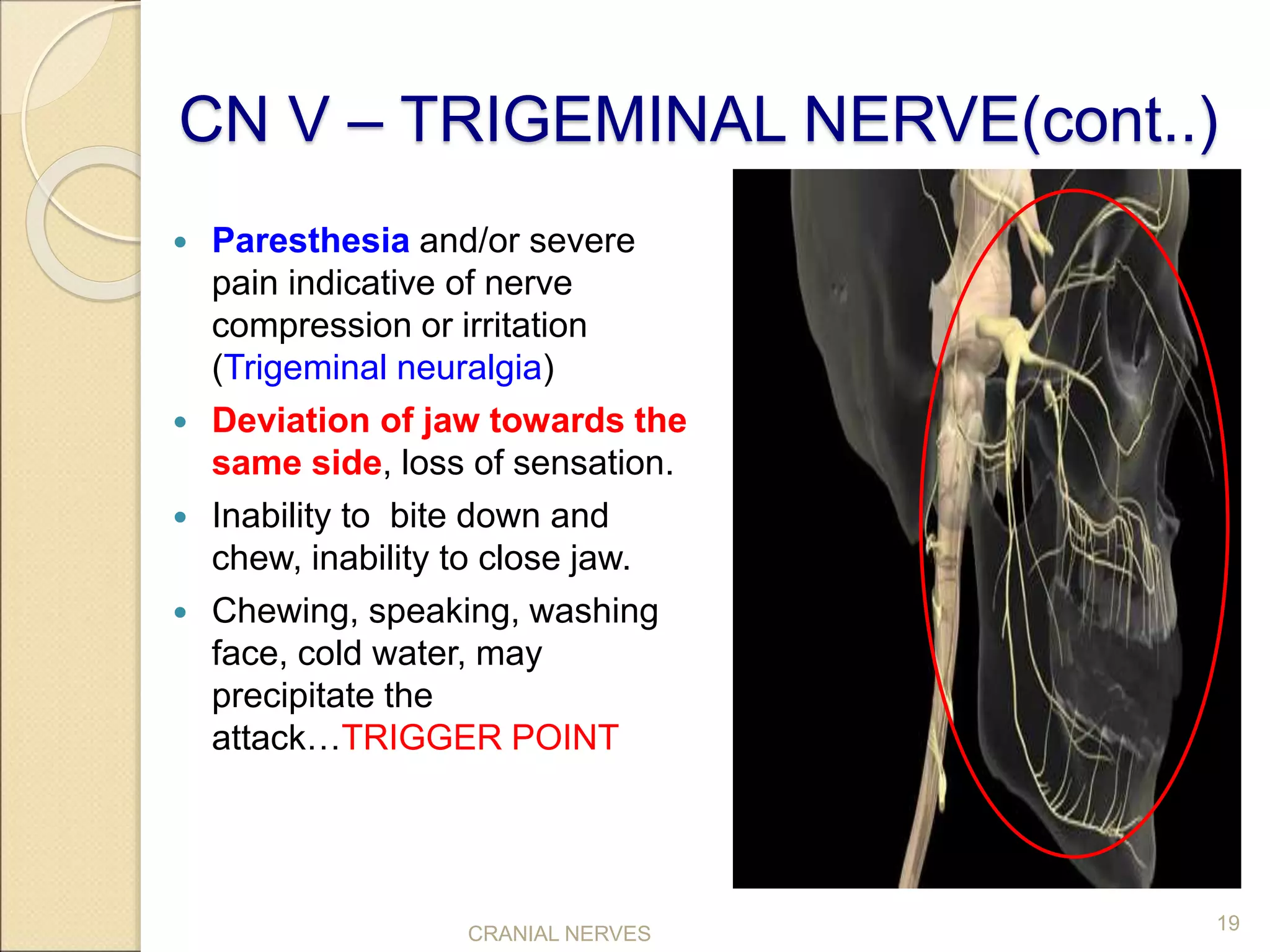 CRANIAL NERVE ASSESSMENT final.ppt