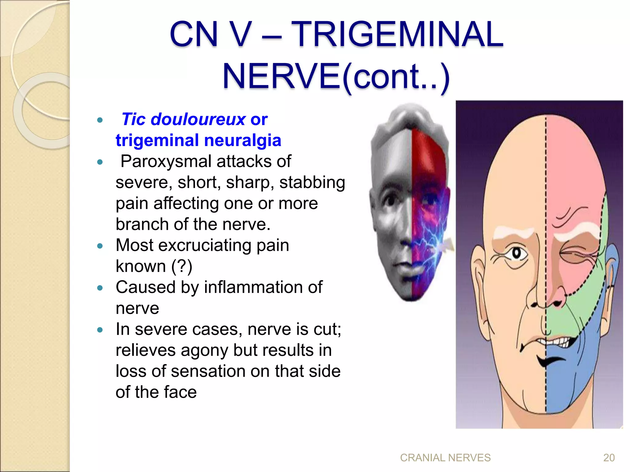 CRANIAL NERVE ASSESSMENT final.ppt