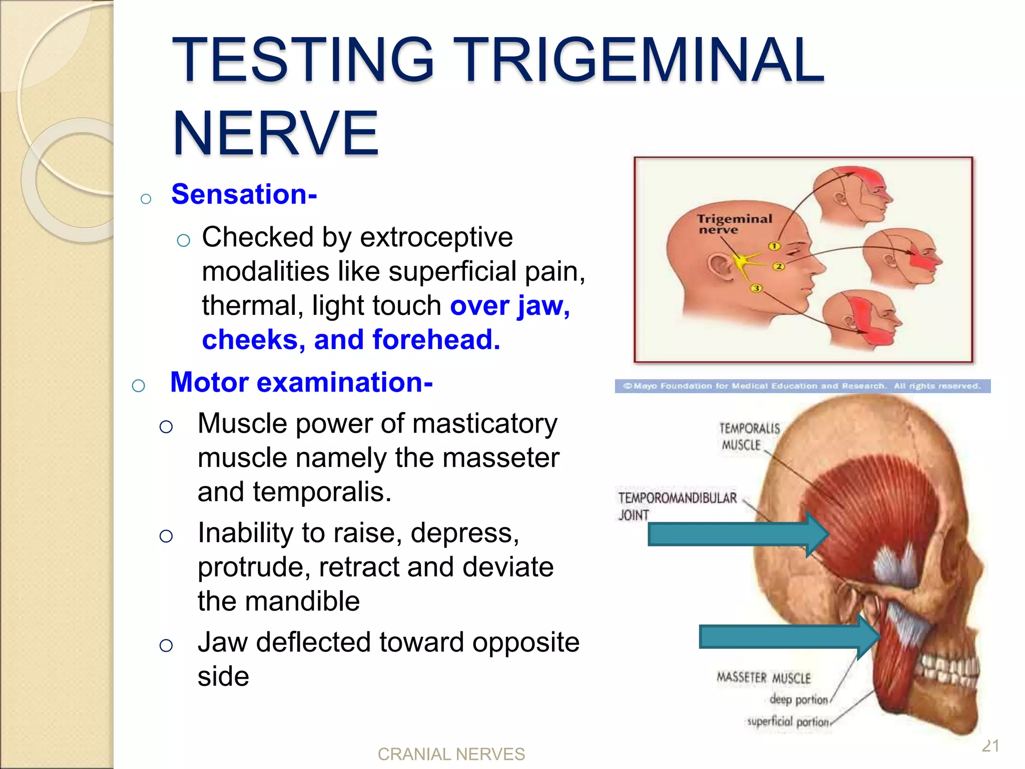 CRANIAL NERVE ASSESSMENT final.ppt