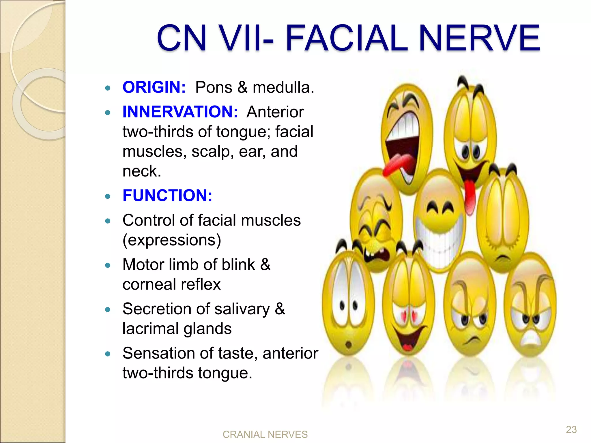 CRANIAL NERVE ASSESSMENT final.ppt