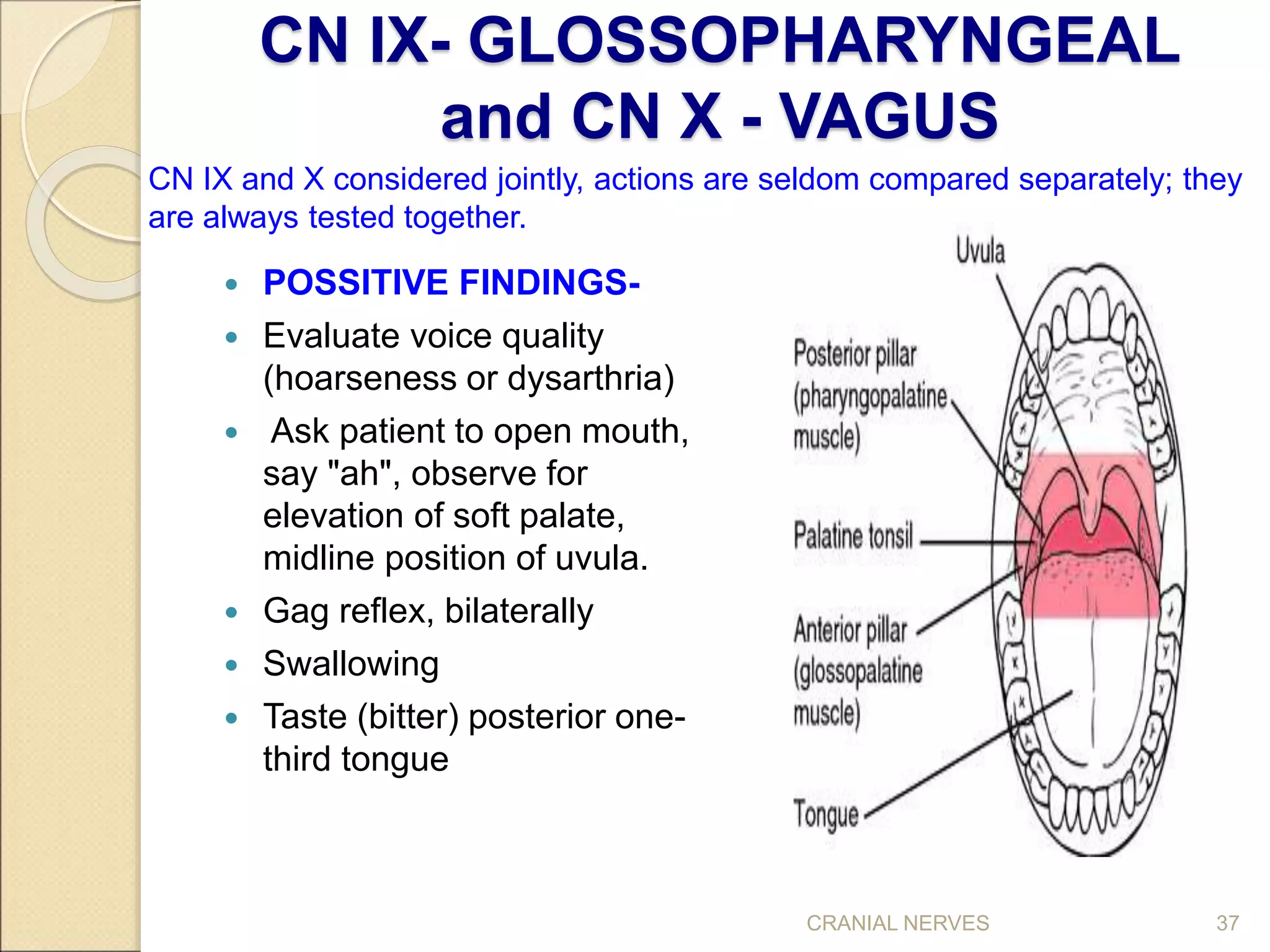 CRANIAL NERVE ASSESSMENT final.ppt