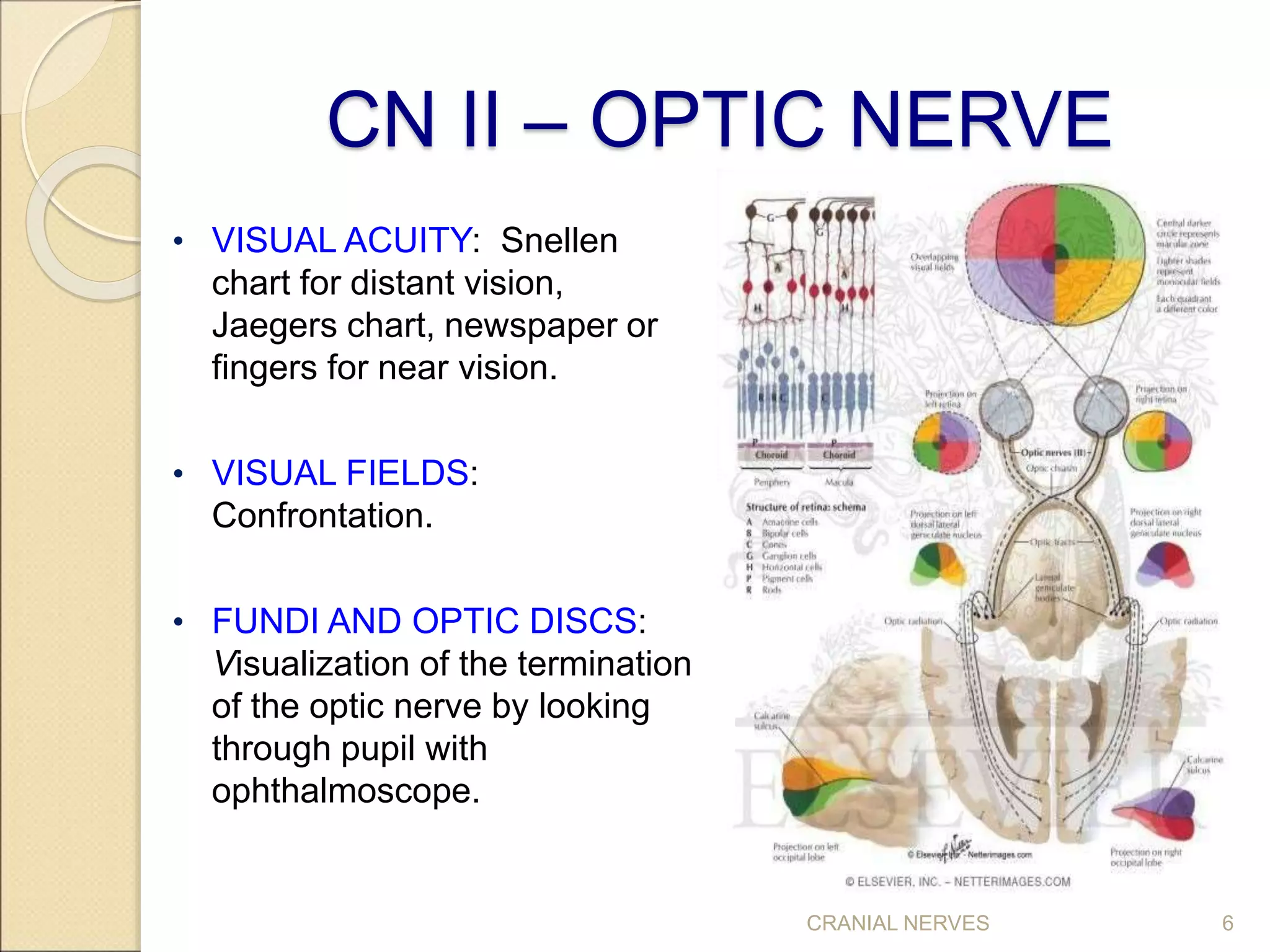CRANIAL NERVE ASSESSMENT final.ppt