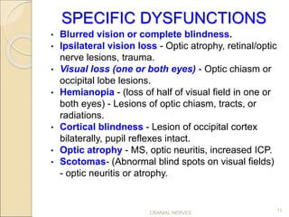 CRANIAL NERVE ASSESSMENT final.ppt