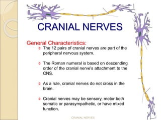 CRANIAL NERVE ASSESSMENT final.ppt