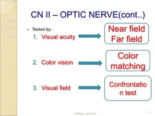 CRANIAL NERVE ASSESSMENT final.ppt