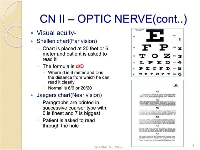 CRANIAL NERVE ASSESSMENT final.ppt