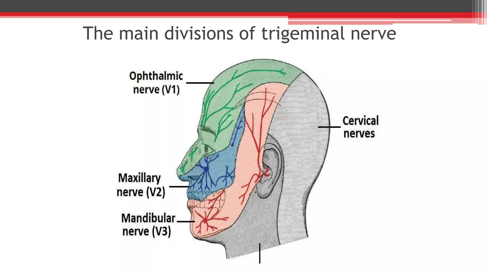 Cranial nerve disorders | PPTX