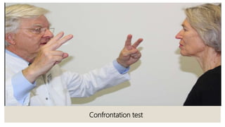 Cranial nerves examination | PPTX | Ear, Nose and Throat Conditions ...