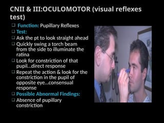 cranial nerve exam.pptx cranial nerve exam. | PPTX