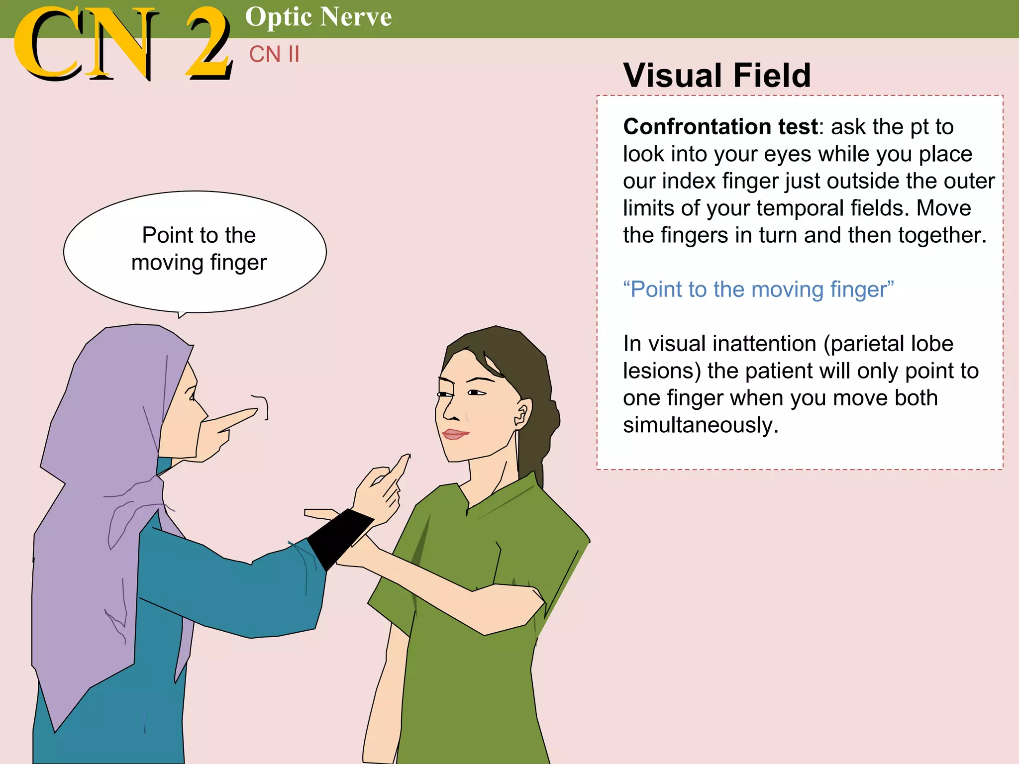 Cranial nerve examination | PPT