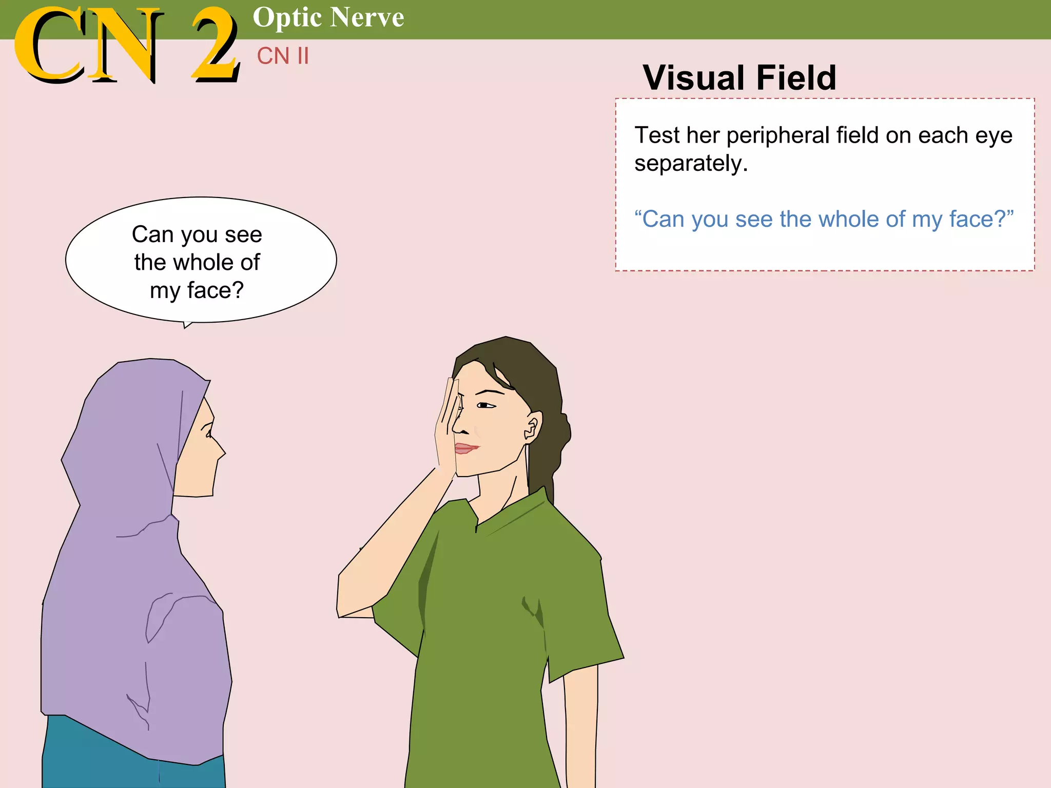 Cranial nerve examination | PPT