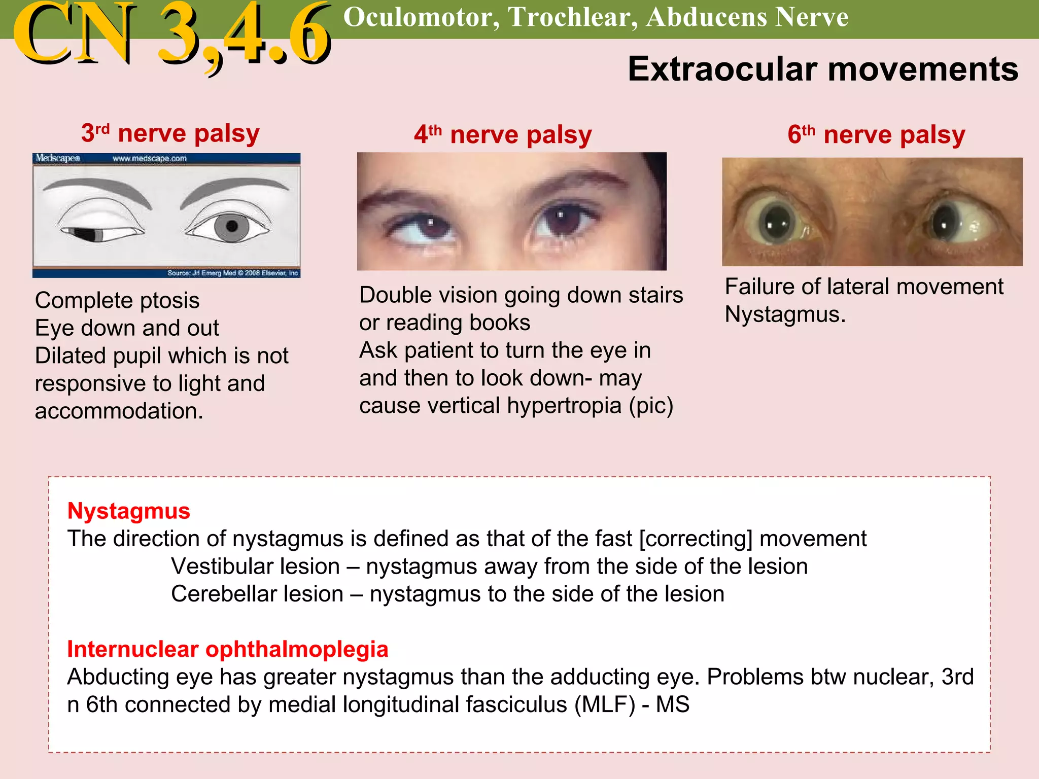 Cranial nerve examination | PPT