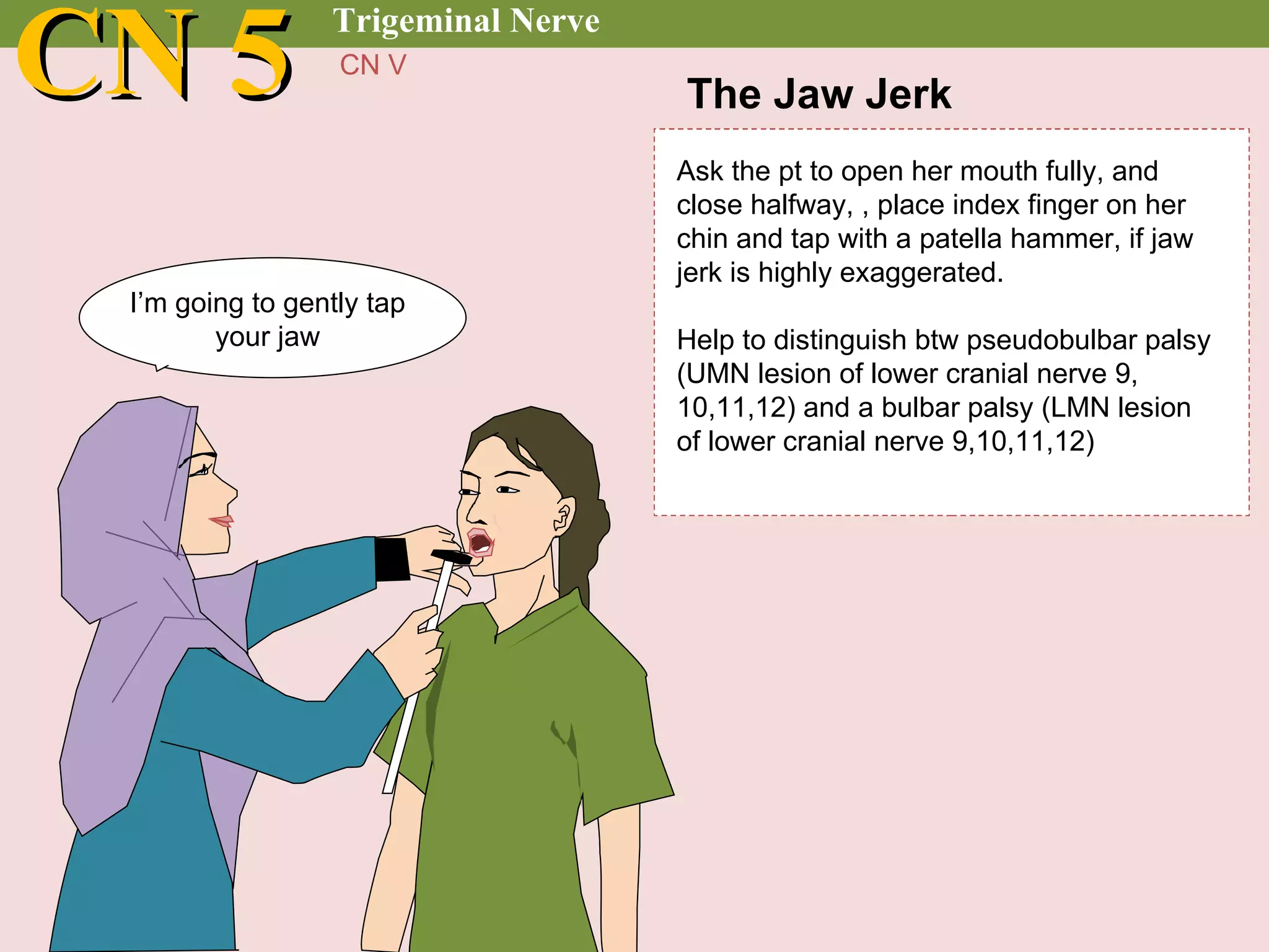Cranial nerve examination | PPT
