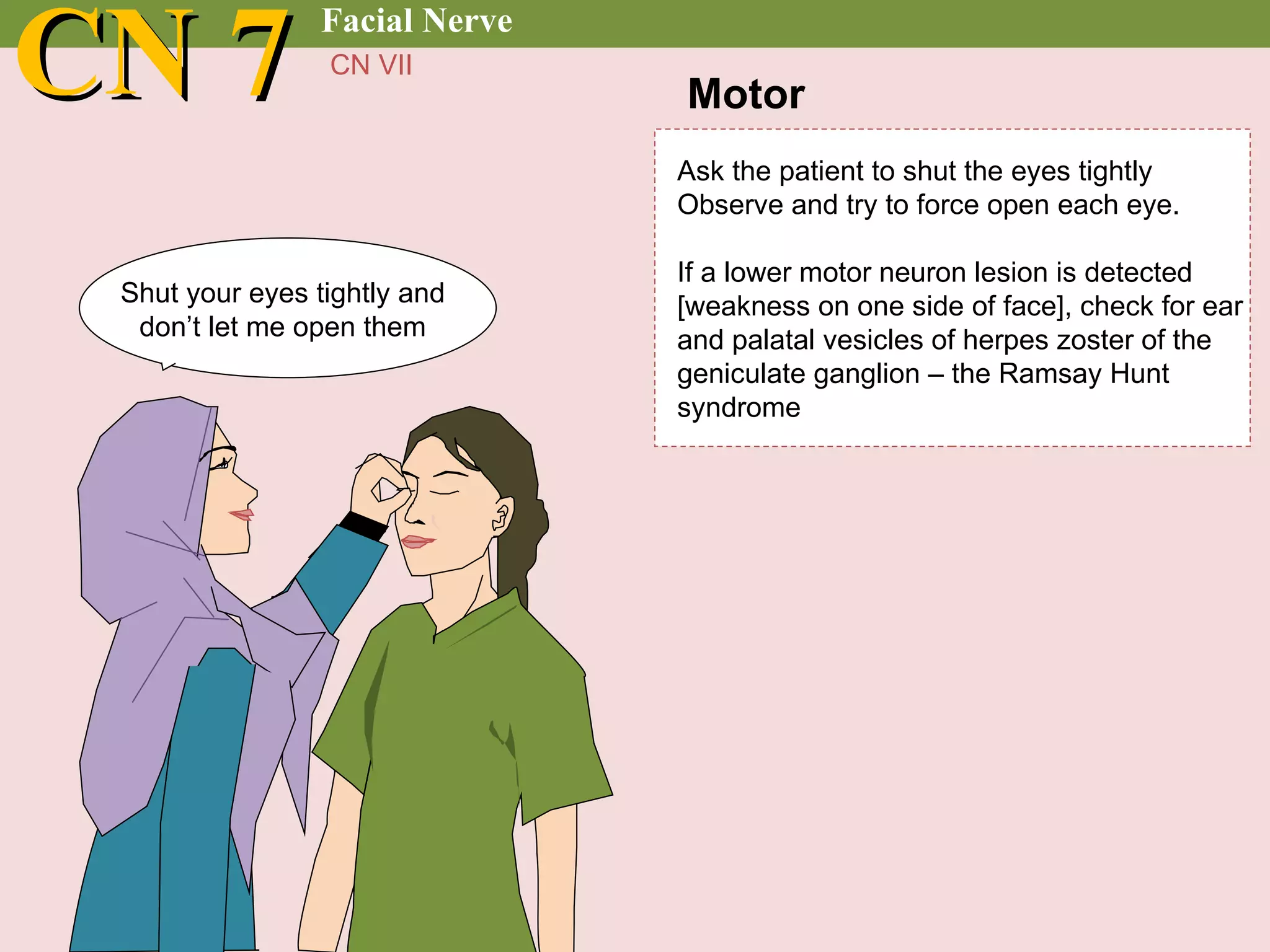 Cranial nerve examination | PPT