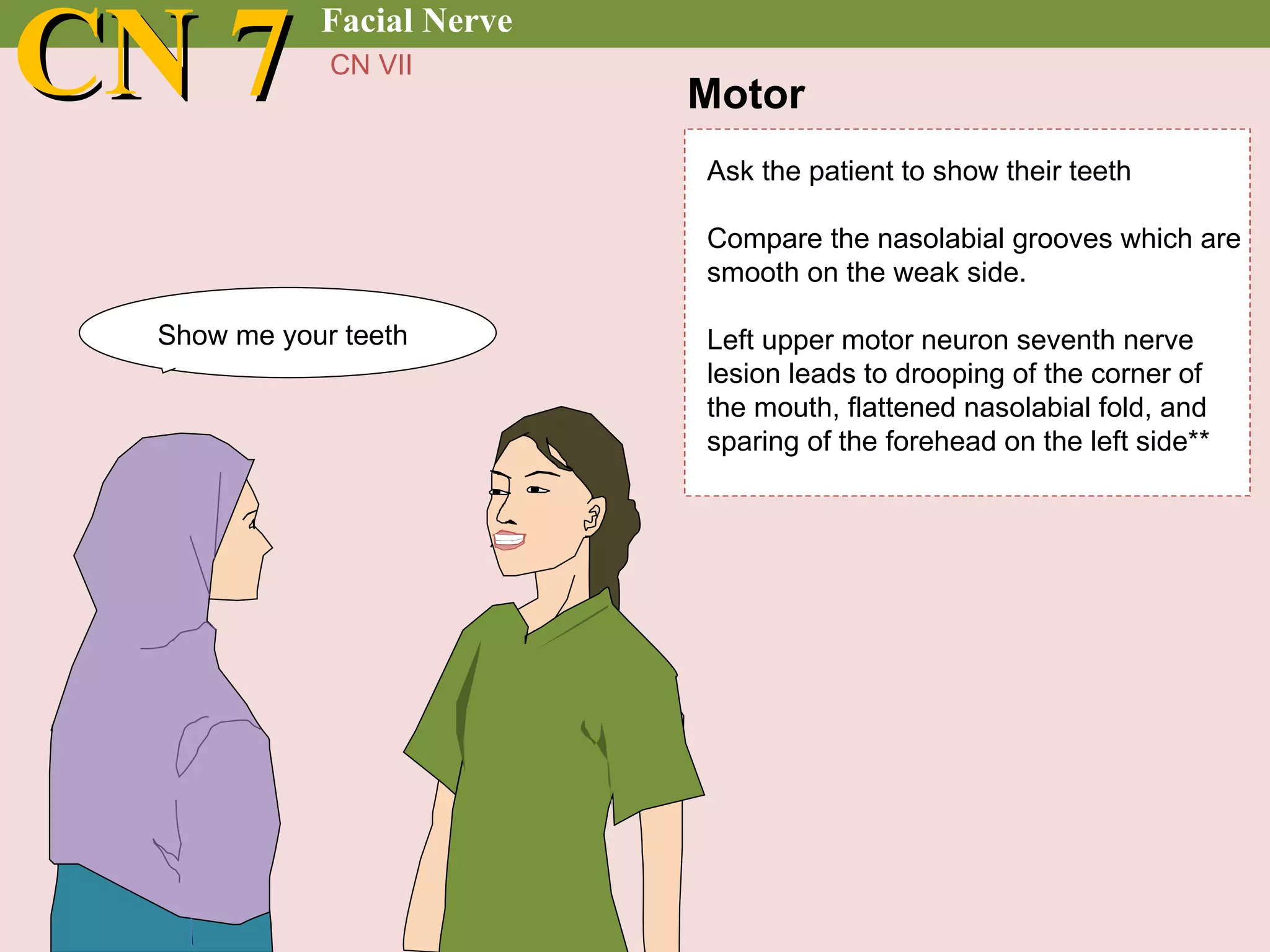 Cranial nerve examination | PPT