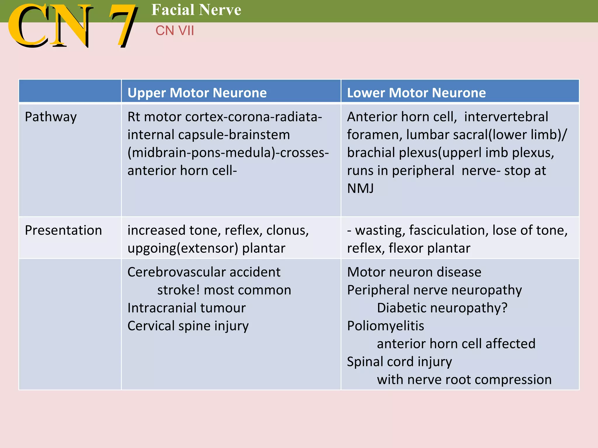Cranial nerve examination | PPT