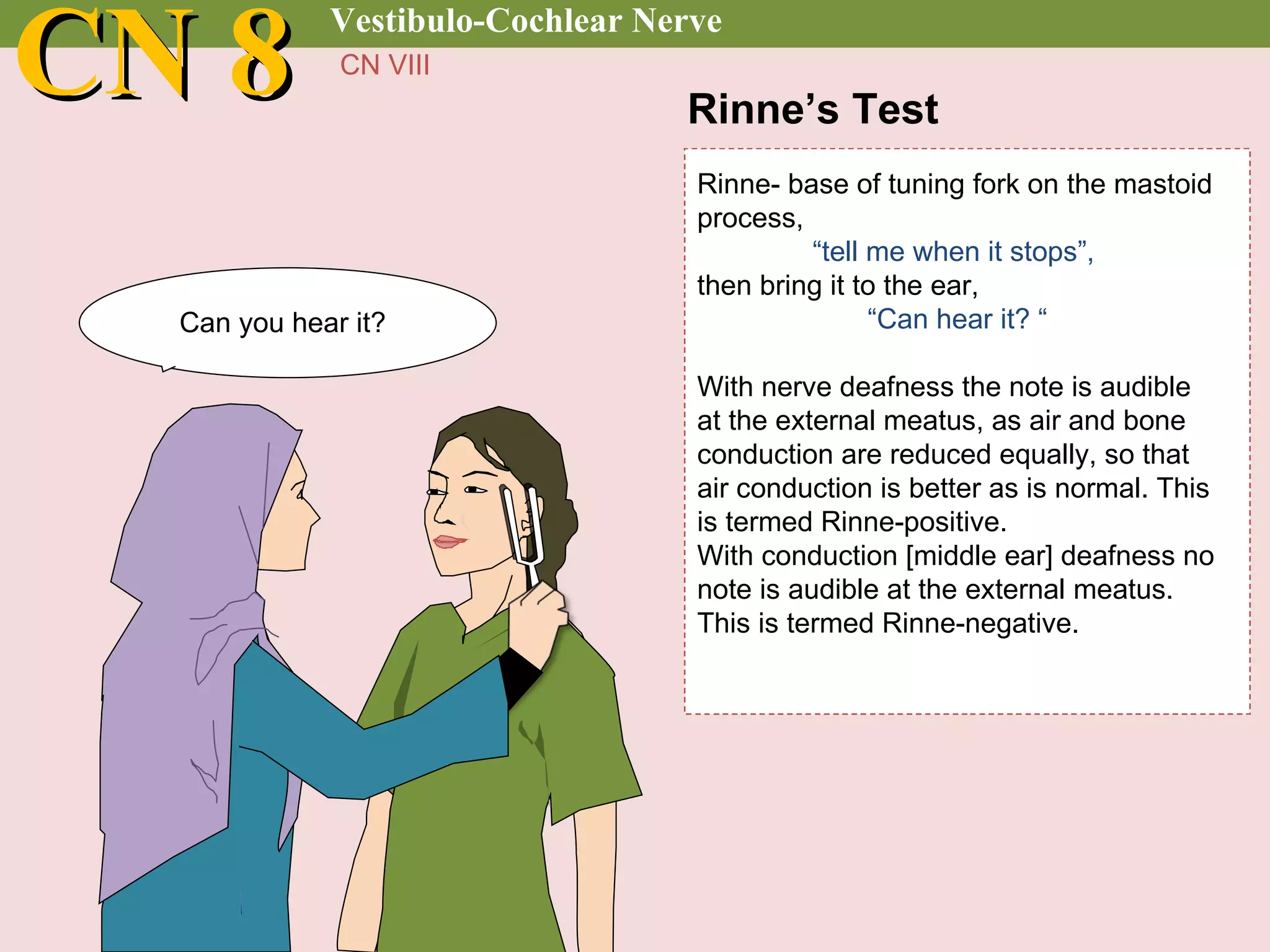 Cranial nerve examination | PPT