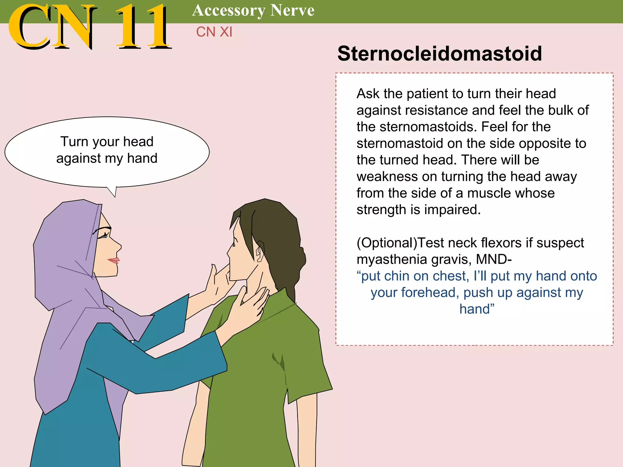 Cranial nerve examination | PPT
